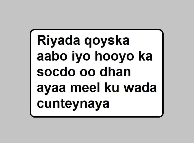 Riyada qoyska aabo iyo hooyo ka socdo oo dhan ayaa meel ku wada cunteynaya