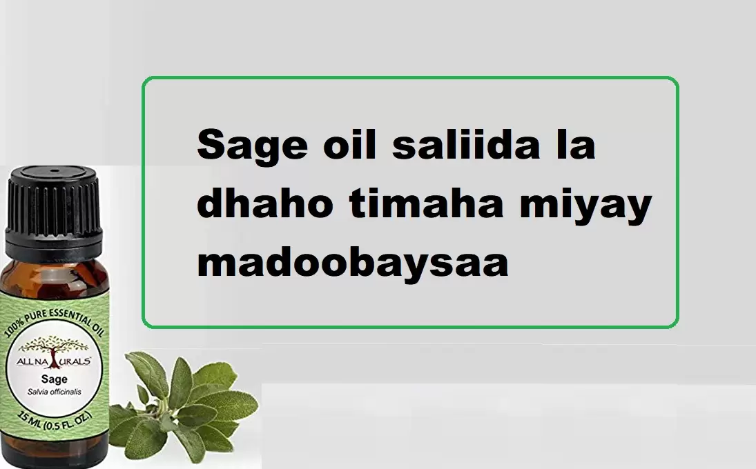Sage oil saliida la dhaho timaha miyay madoobaysaa