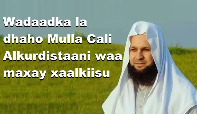 Wadaadka la dhaho Mulla Cali Alkurdistaani waa maxay xaalkiisu