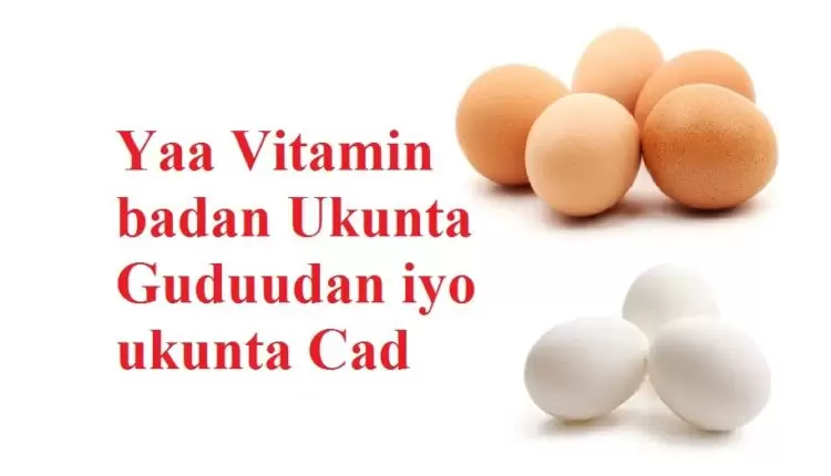 Yaa Vitamin Badan Ukunta Guduudan Iyo Ukunta Cad | Daruur